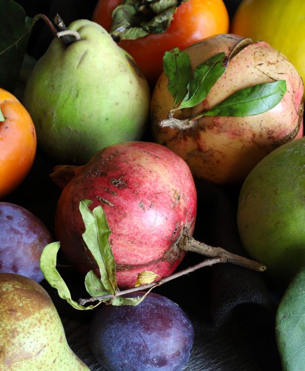 Magazine - SuperSIGMA